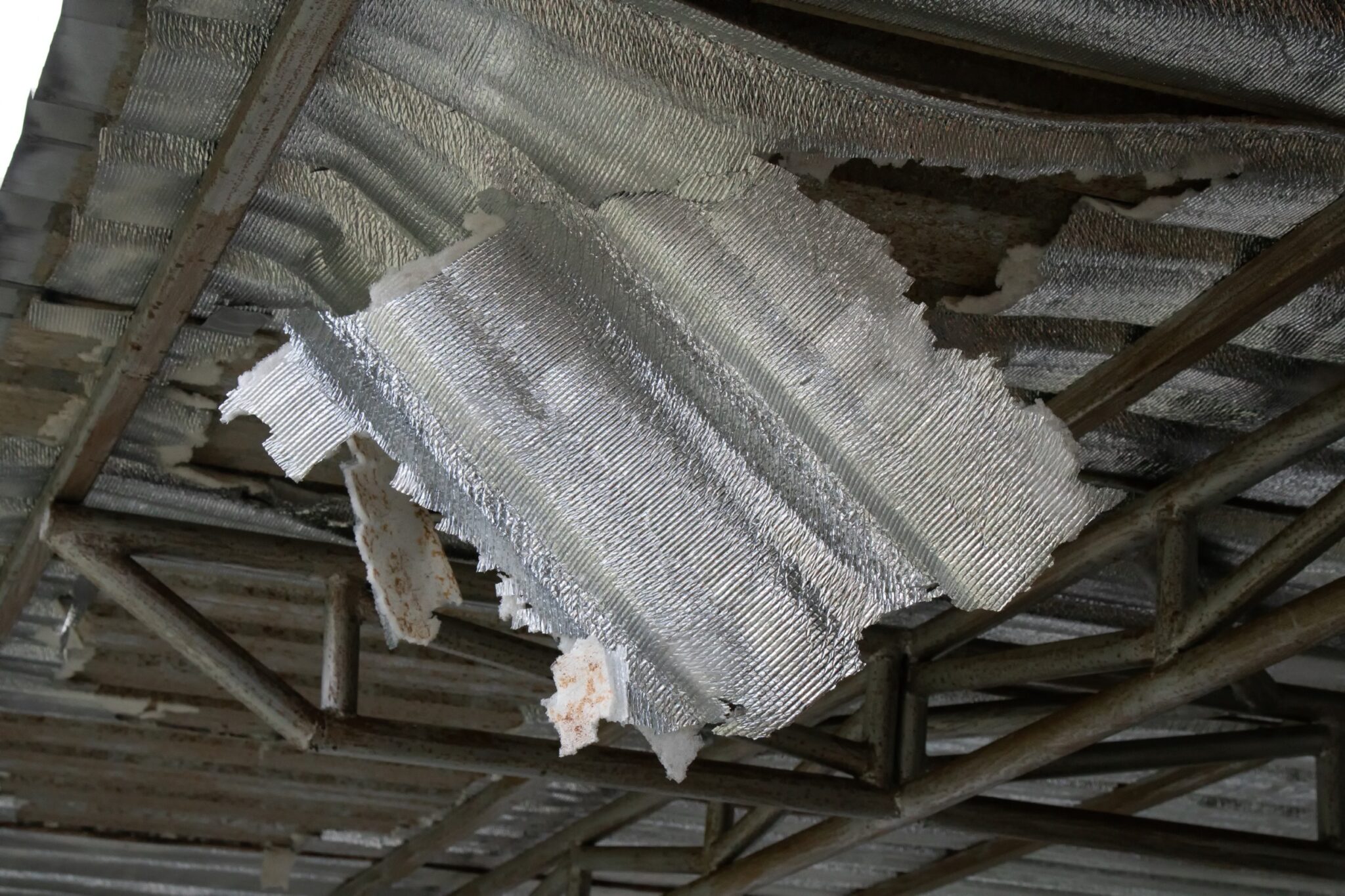 What To Do When Your Insulation Gets Wet - TLS Insulation